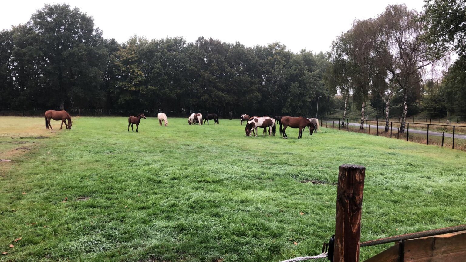 Onze Ranch – Iron Horse Ranch